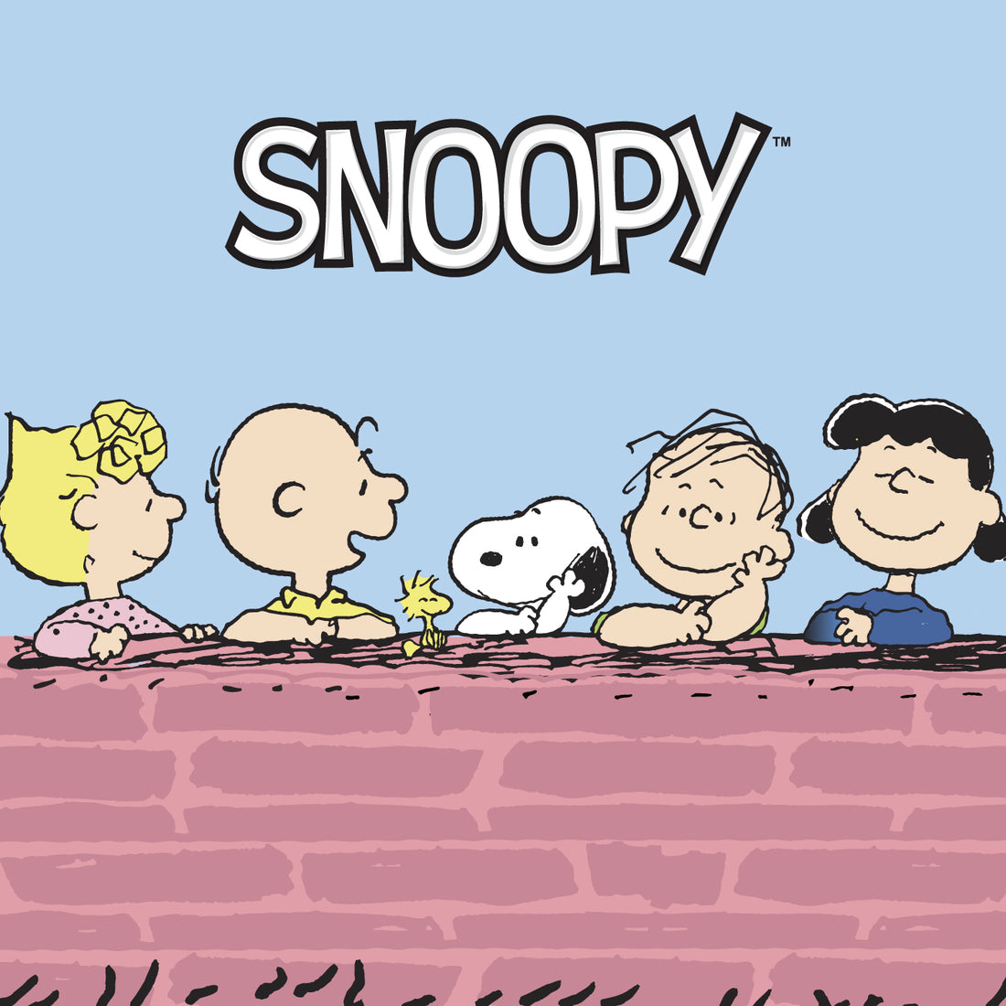Cuadernos y libretas Snoopy – Dgnottas